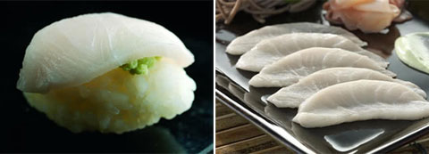 FIS - Companies & Products - Nordic Group to Market Frozen Cobia ...