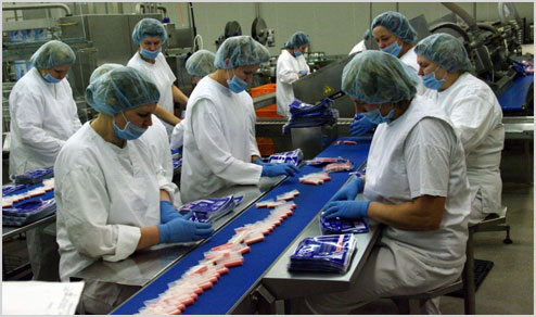 FIS - Companies & Products - The Largest Surimi Producer in Europe