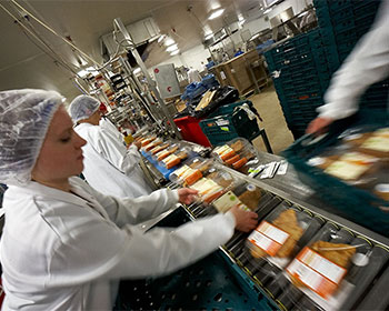 FIS - Companies & Products - Icelandic Seachill manages to recover ...