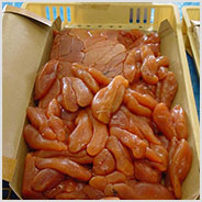 FIS - Companies & Products - Top Fishing Company in the Far East