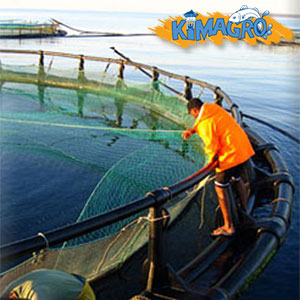 FIS - Companies & Products - Seabass and Seabream from Cyprus are ...