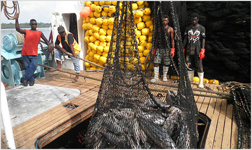 FIS - Companies & Products - IFC Invests USD10 Million to Support ...