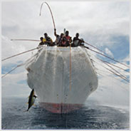 FIS - Companies & Products - IFC Invests USD10 Million to Support ...