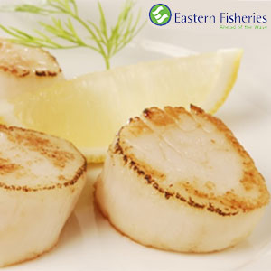 FIS - Companies & Products - The Industry's Largest Scallop Fleet