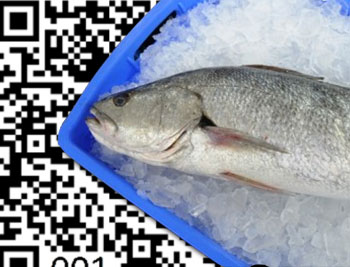 FIS - Companies & Products - QR code created to enhance seafood ...