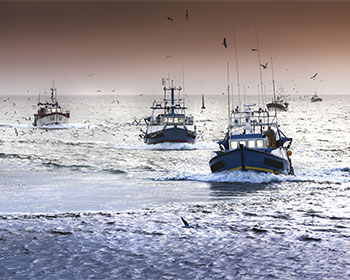 FIS - Companies & Products - RFMO takes important management measures ...