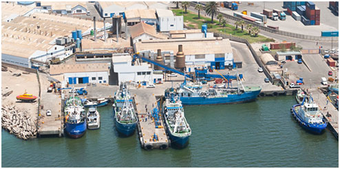 FIS - Companies & Products - Leading Player in the Namibian Fishing ...