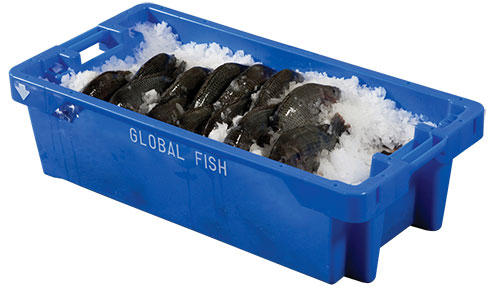 FIS - Companies & Products - The Largest and Most Modern Tilapia Farm ...