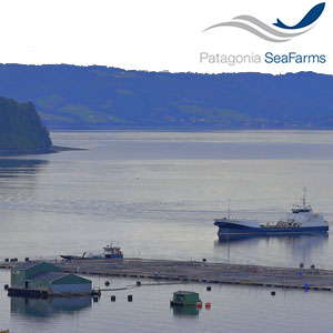 FIS - Companies & Products - Patagonia SeaFarms Now Offers Four-Star ...