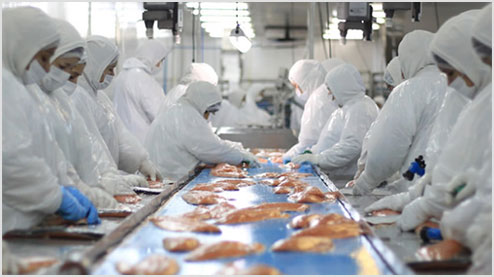 FIS - Companies & Products - Patagonia SeaFarms Now Offers Four-Star ...