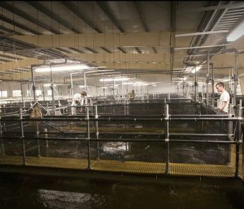 FIS - Compañías y Productos - Blue Ridge instala su planta de alimento ...