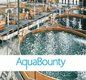 FIS - Companies & Products - PRESS RELEASE: AquaBounty Technologies ...