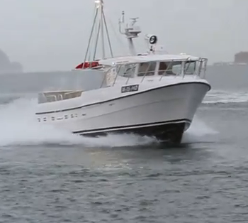 FIS - TM - FISHING - Selfa Arctic Speedsjark 35