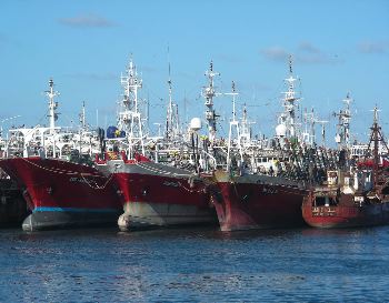 Seafood Media Group - Worldnews - Labour conflict complicates squid ...