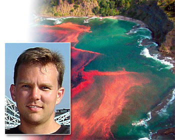 Seafood Media Group - Worldnews - Vitamins may advance harmful algal ...