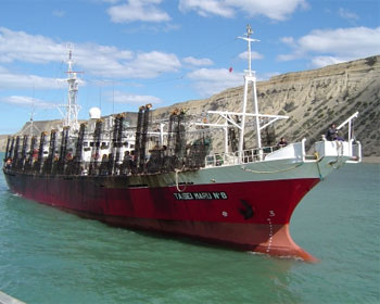 Seafood Media Group - Worldnews - Good catches of squid continuing