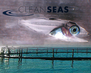 Seafood Media Group - Worldnews - Clean Seas Tuna progresses with ...