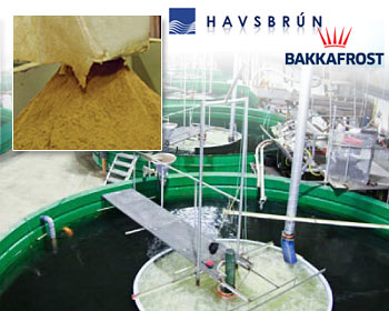 Seafood Media Group - Worldnews - Bakkafrost to acquire fish meal producer