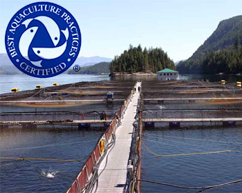 Seafood Media Group - Worldnews - Salmon farm receives BAP certification