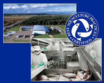 Seafood Media Group - Worldnews - Trusal salmon plant certified