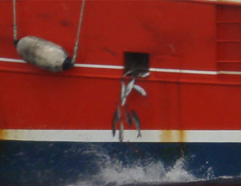 Seafood Media Group - Worldnews - Discard veto, but without affecting ...