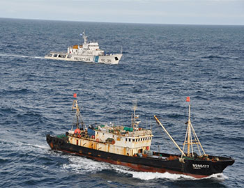 Seafood Media Group - Worldnews - Squid carried on arrested Chinese ...