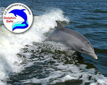 Seafood Media Group - Noticias - Refuerzan criterios para etiquetado ...