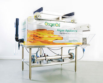 Seafood Media Group - Worldnews - Companies partner to develop algae ...