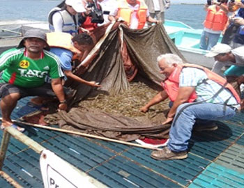 Seafood Media Group - Noticias - Borrador de ley de pesca incluye ...