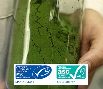 Seafood Media Group - Worldnews - Japanese farm first to receive ASC ...