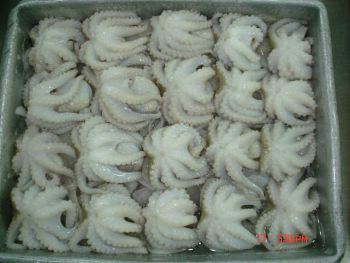 Seafood Media Group - Worldnews - Frozen small octopus , 81 percent ...