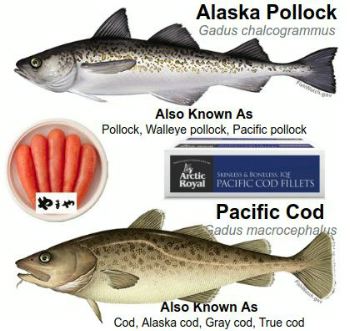 Seafood Media Group - Worldnews - Products derived from alaska pollock ...