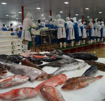 Seafood Media Group - Noticias - El gobierno lucha contra el mandato de ...