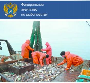 Seafood Media Group - Worldnews - As of February 24, Russian fishermen ...