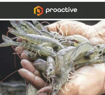 Seafood Media Group - Worldnews - Tassal integrates farm holdings to ...