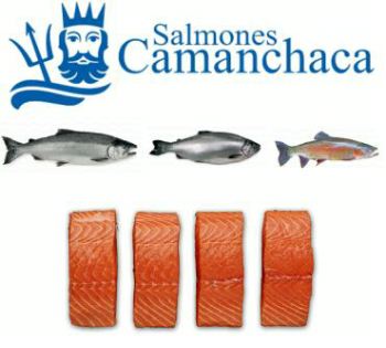 Seafood Media Group - Worldnews - Camanchaca subscribes 70% of the ...