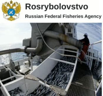 Seafood Media Group - Worldnews - Russian pelagic fishing season ...