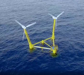 Seafood Media Group - Worldnews - The Canary Islands lead the ...