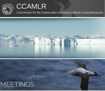 Seafood Media Group - Worldnews - Press Release CCAMLR: International ...