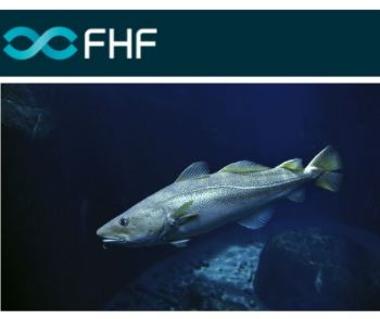 Seafood Media Group - Worldnews - Compilation of knowledge for pelagic ...