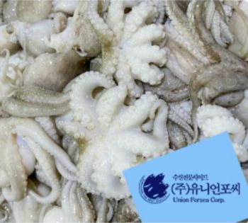 Seafood Media Group - Worldnews - Imports of small frozen octopus fall ...