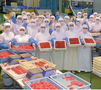 Seafood Media Group - Worldnews - Statistics │ Stocks│Salted Alaska ...