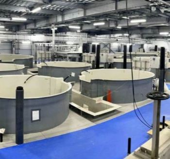 Seafood Media Group - Worldnews - Flounder, salmon, kuruma prawns, growing prospects for 'RAS ...