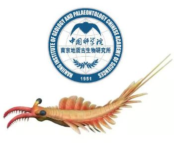 Seafood Media Group - Noticias - Paleontólogos chinos identifican ...