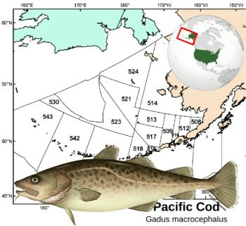 Seafood Media Group - Worldnews - Catches DAP NMFS at BSAI │ Pacific ...