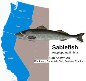 Seafood Media Group - Worldnews - Catches and prices │ Black cod ...