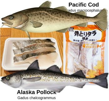 Seafood Media Group - Worldnews - Products derived from alaska pollock ...
