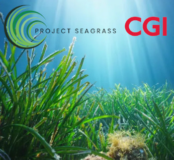 Seafood Media Group - Worldnews - CGI and Project Seagrass release new ...