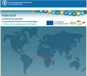 Seafood Media Group - Worldnews - FAO promotes value chains in ...