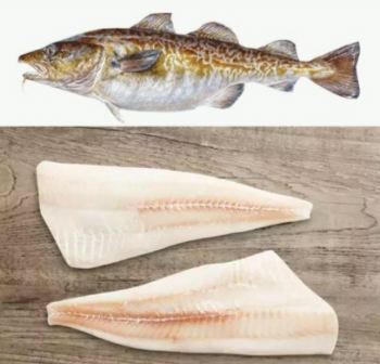 Seafood Media Group - Worldnews - Statistics │ Export │ Frozen Pacific ...